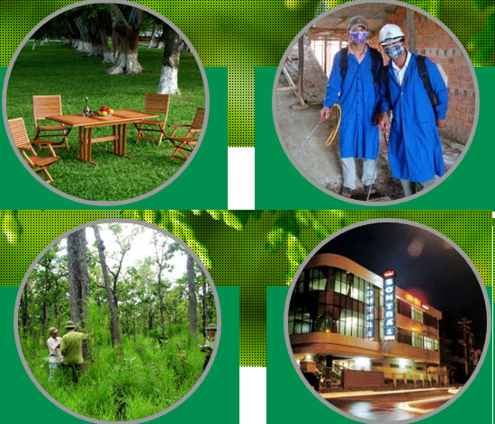 Báo trễ nhiều tài liệu, Vinafor Đà Nẵng bị phạt 60 triệu đồng | Vietstock