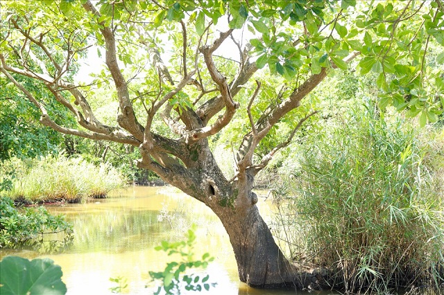 Đường Bạn | Vietstock