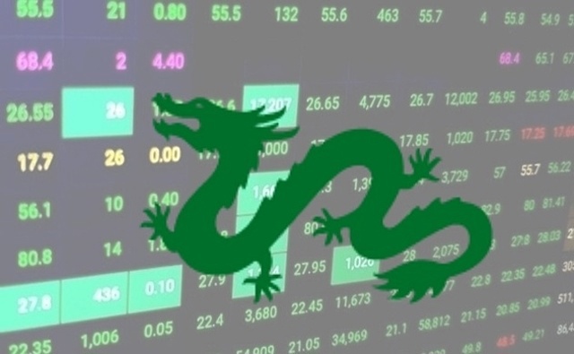 Quỹ tỷ đô của Dragon Capital lãi 10.3% trong năm 2023, HPG và nhóm ngân ...