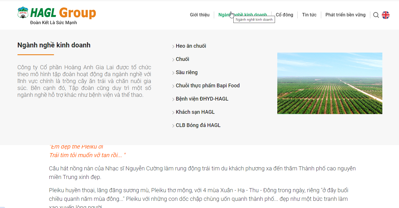 HAGL đổi logo mới, xóa ngành bệnh viện, khách sạn trên website | Vietstock