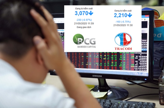 Bộ đôi BCG và TCD vào diện hạn chế giao dịch, cổ phiếu "nằm sàn" | Vietstock